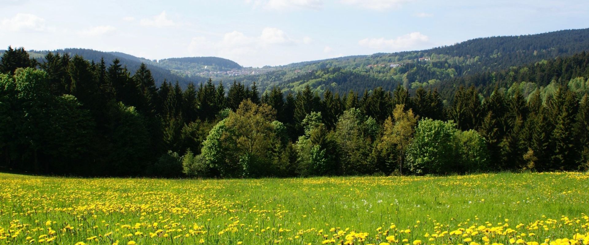 Naturpark Bayerischer Wald - Der Naturpark Bayerischer Wald