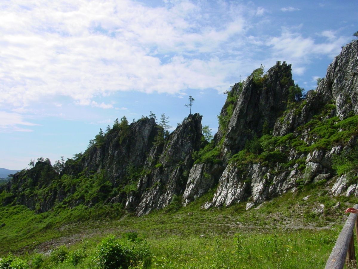 Naturpark-Exkursion über den Pfahl - Der Naturpark Bayerischer Wald